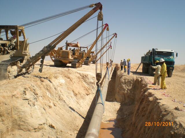 Maintain Potential Program – C.A.T. GROUP